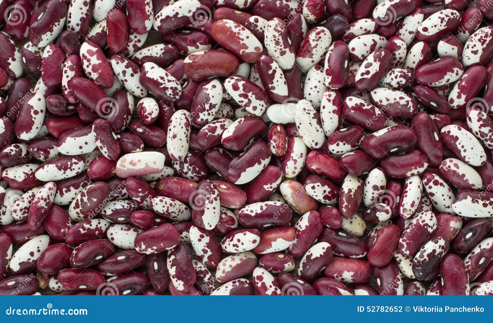 Dry mottled beans stock photo. Image of vegetable, nutrition - 52782652