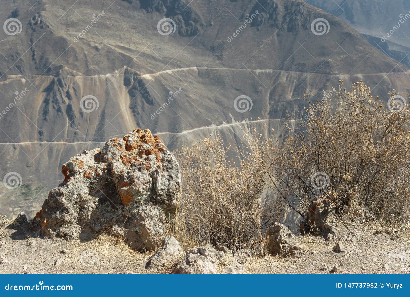 Dry mountain landscape stock photo. Image of desert - 147737982