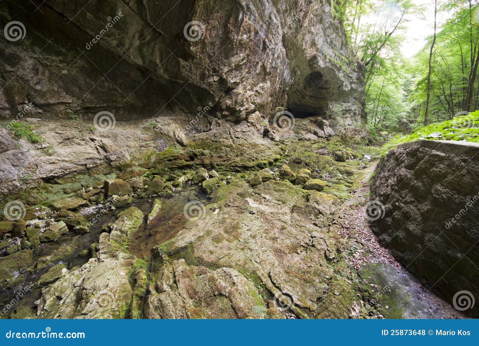 Dry mountain stream stock photo. Image of trees, warming - 25873648