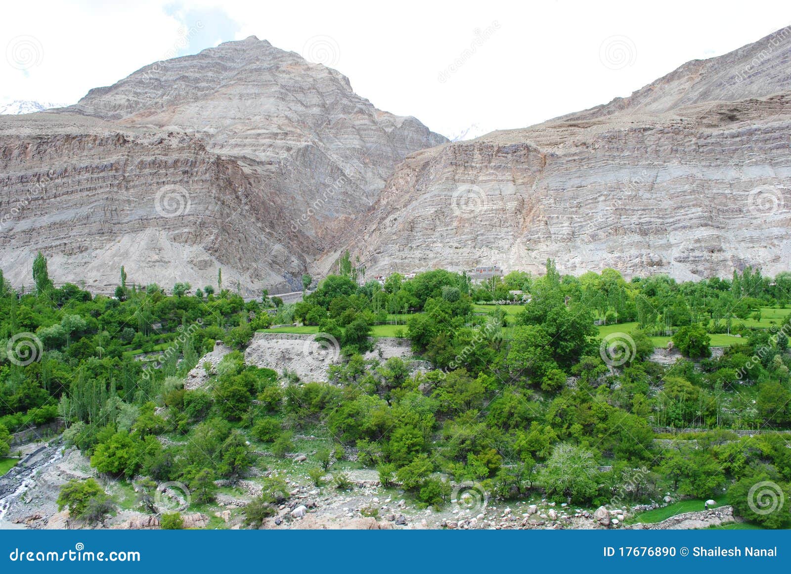 Dry Mountains and Greenery in Ladakh Stock Photo - Image of green ...