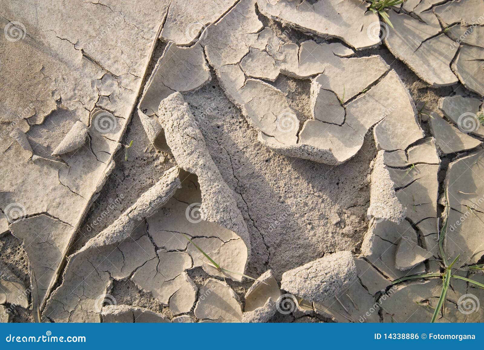 Dry mud stock photo. Image of abstract, texture, ecology - 14338886