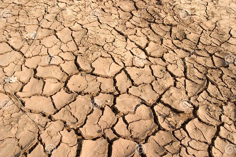 Dry Mud stock image. Image of cracks, desert, dirt, summer - 99233