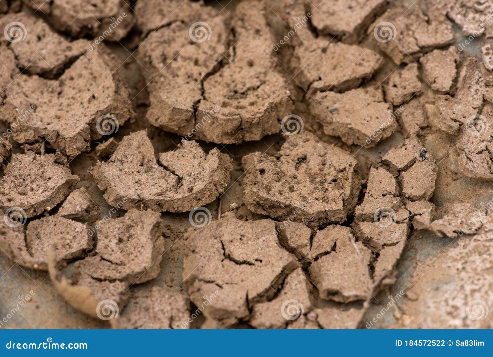 Dry Mud stock photo. Image of geology, natural, drought - 184572522