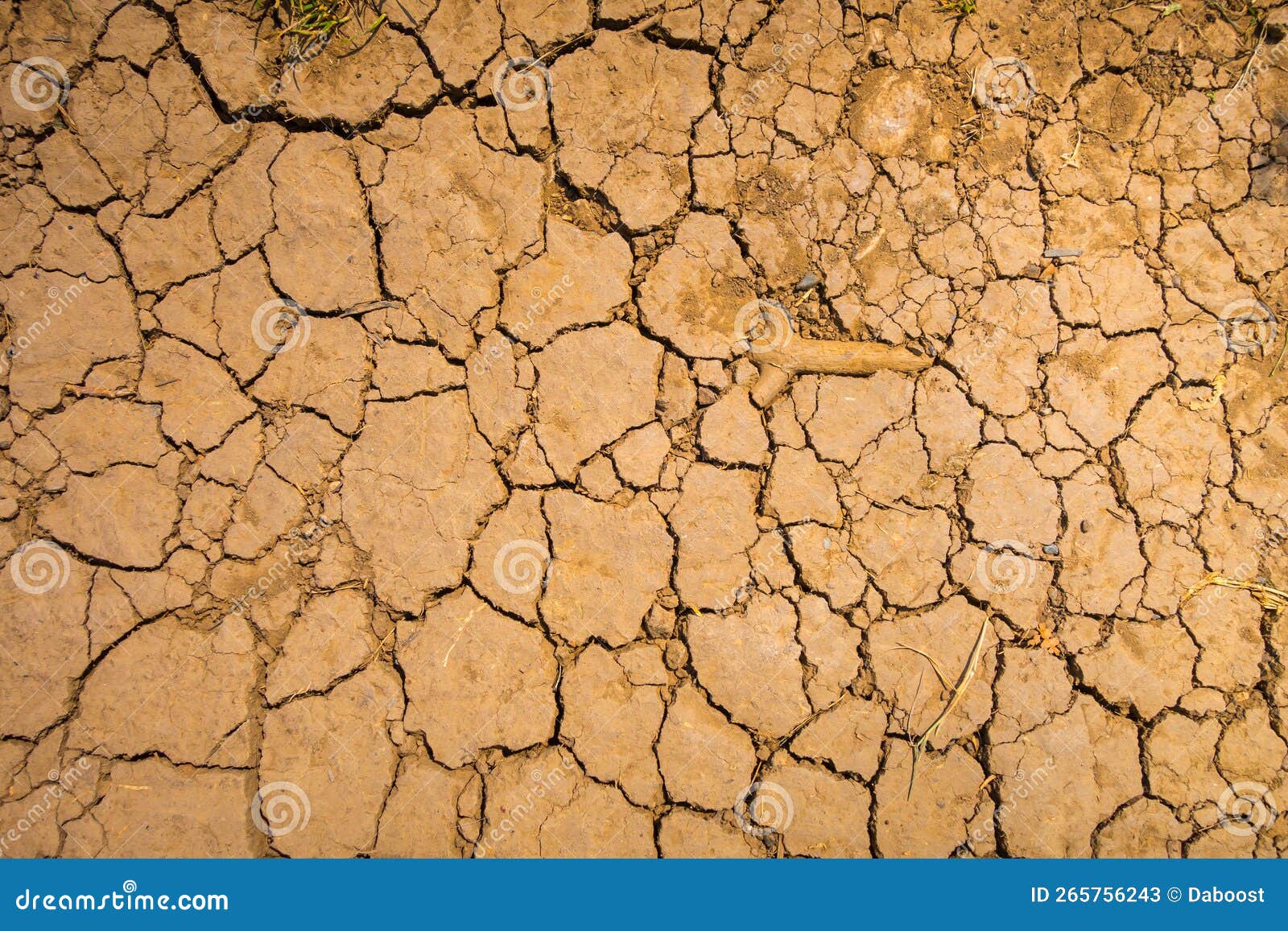 Dry mud background texture stock image. Image of desert - 265756243