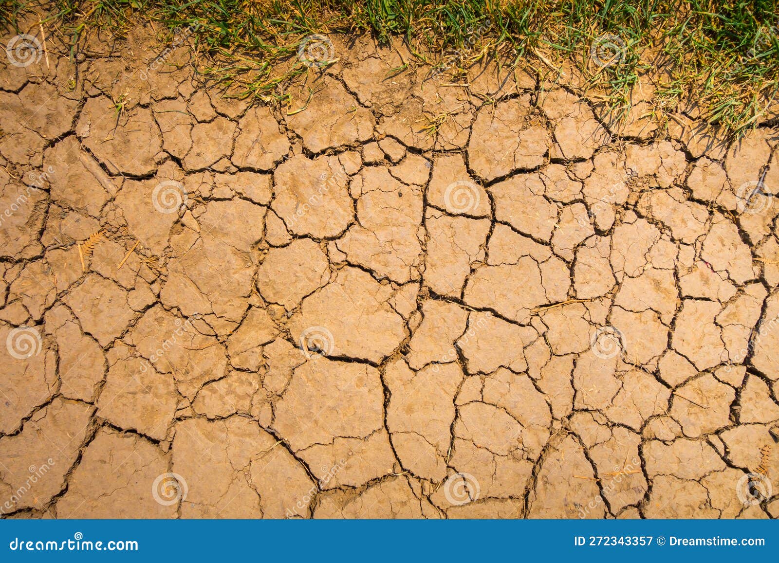 Dry mud background texture stock image. Image of nature - 272343357