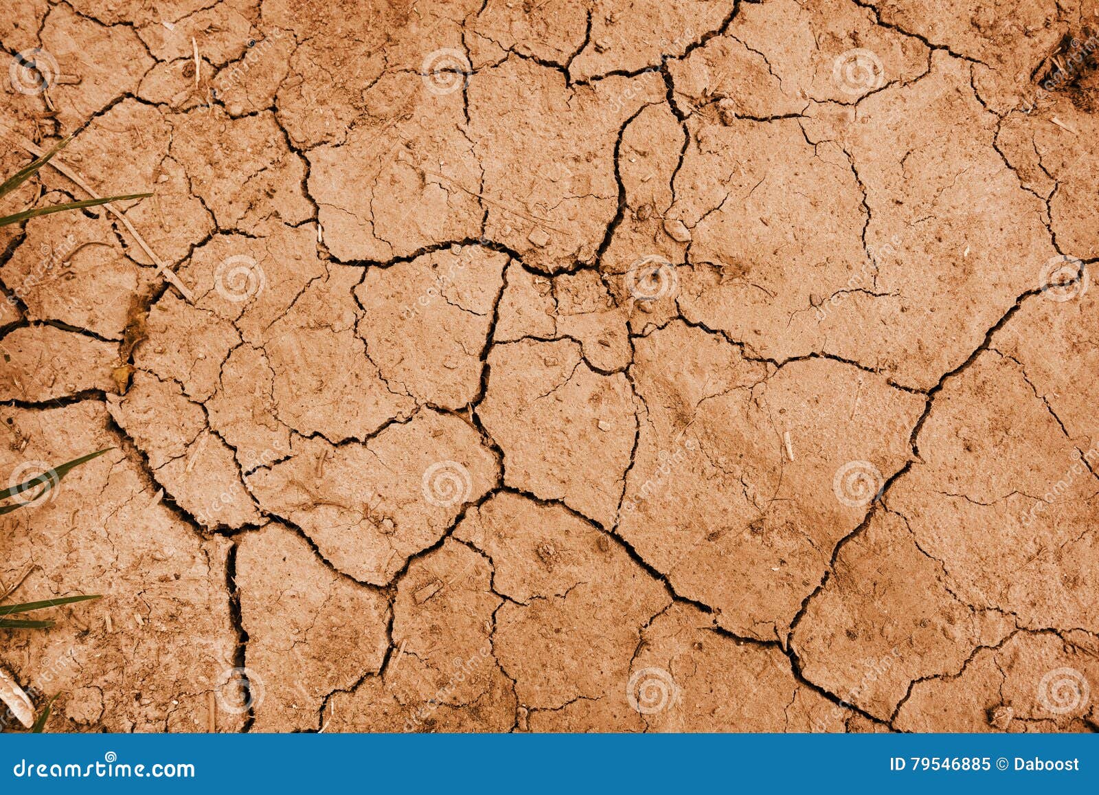 Dry mud background texture stock image. Image of brown - 79546885