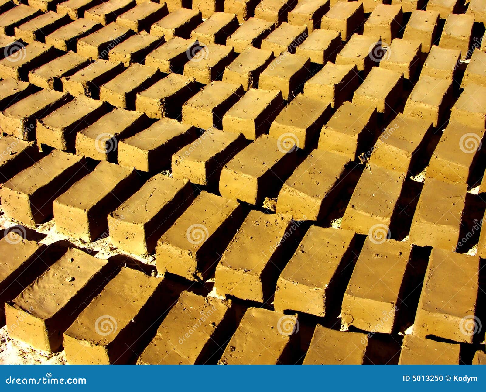 Dry mud bricks stock photo. Image of desert, compound - 5013250
