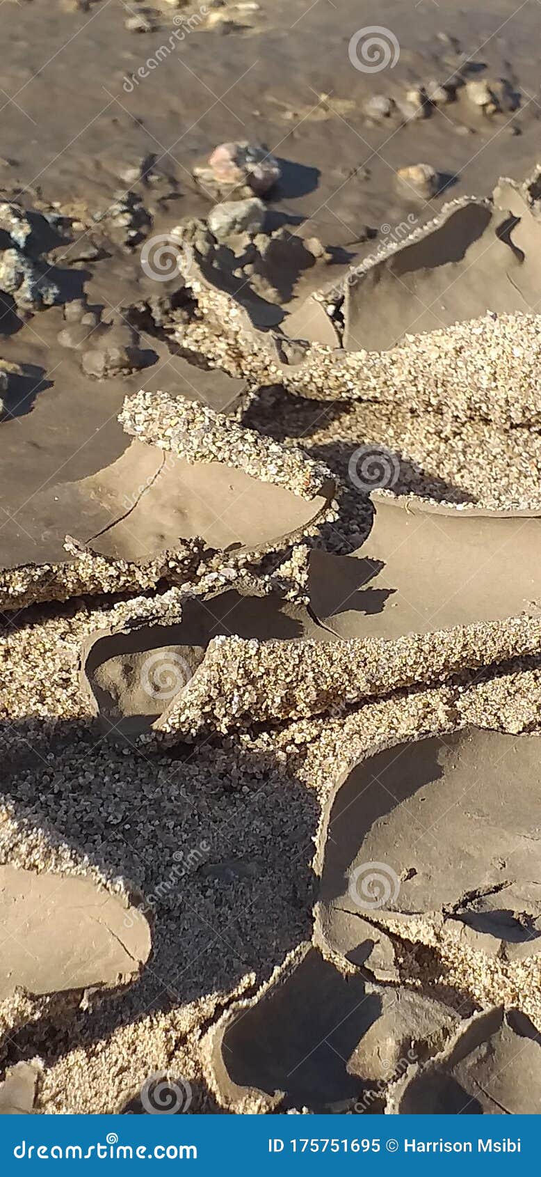 Dry mud cracks stock image. Image of soil, nature, cracks - 175751695