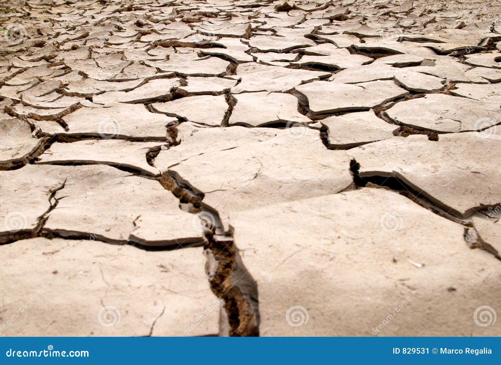 Dry mud cracks texture stock image. Image of surface, romagna - 829531