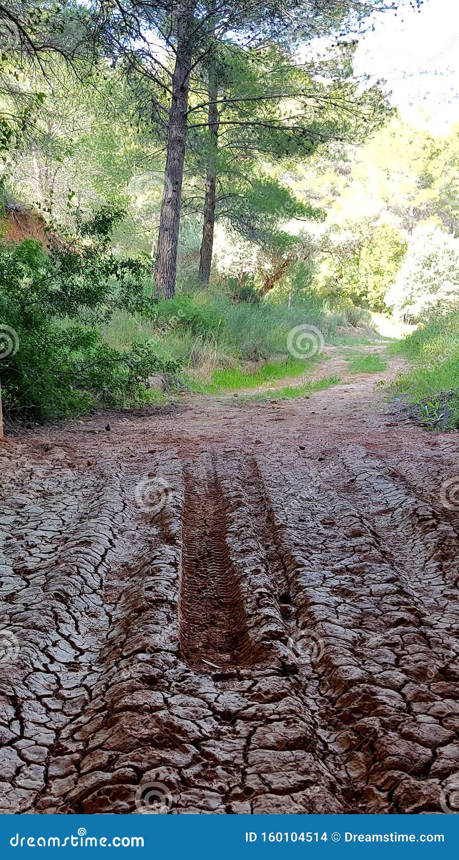Dry mud stock photo. Image of pavement, blue, sunny - 160104514