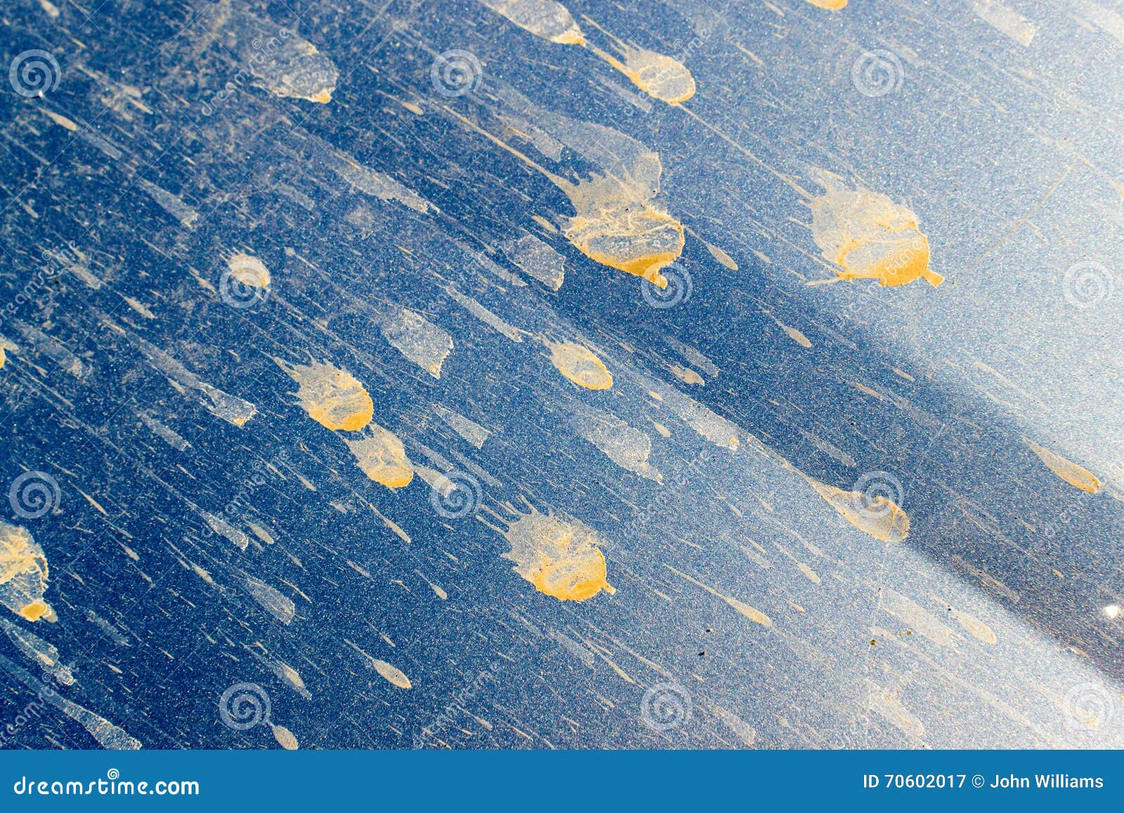 Dry Mud Splashes on Blue Metallic Car Paint Stock Image - Image of ...