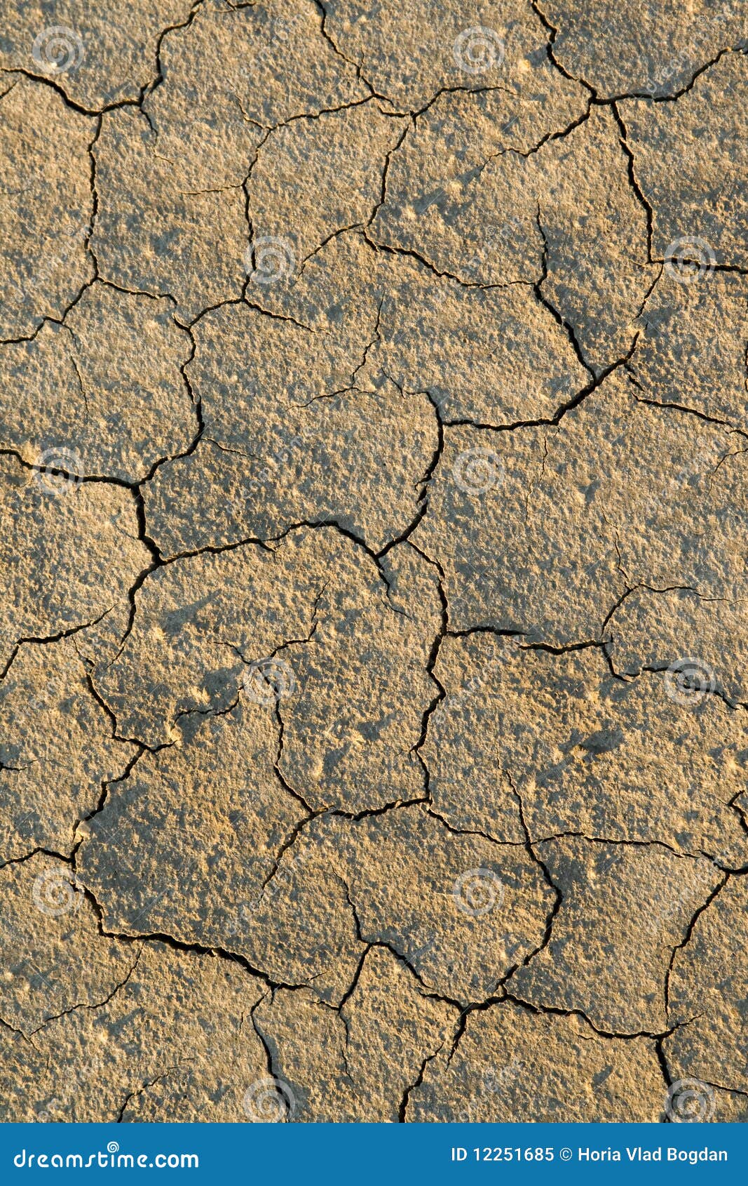 Dry Mud Texture Royalty-Free Stock Photo | CartoonDealer.com #12251685