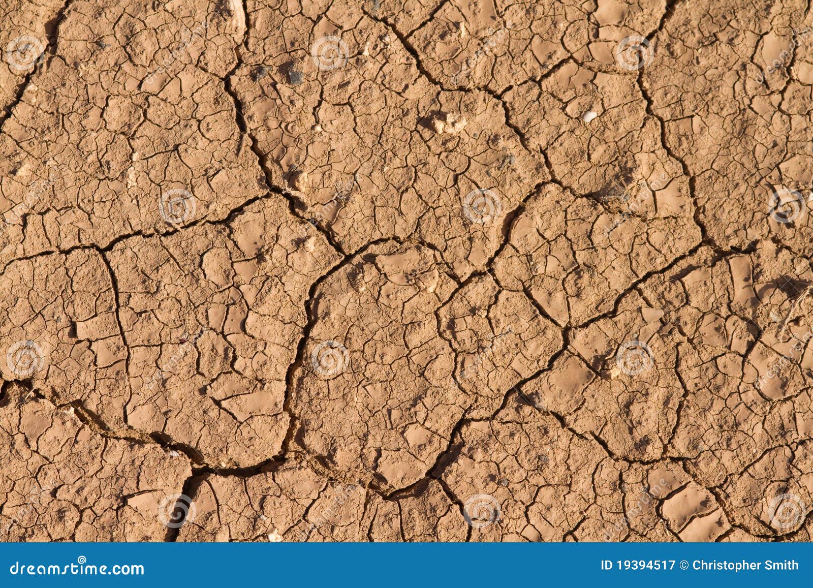 Dry mud texture stock image. Image of soil, texture, textured - 19394517