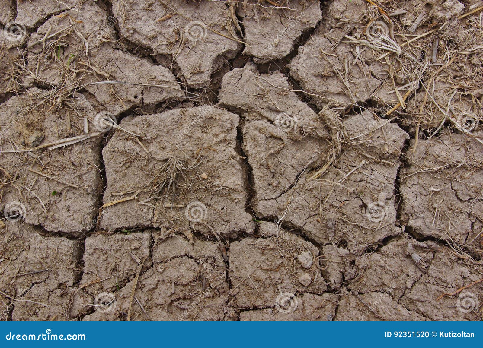 Dry mud texture stock photo. Image of dying, environment - 92351520
