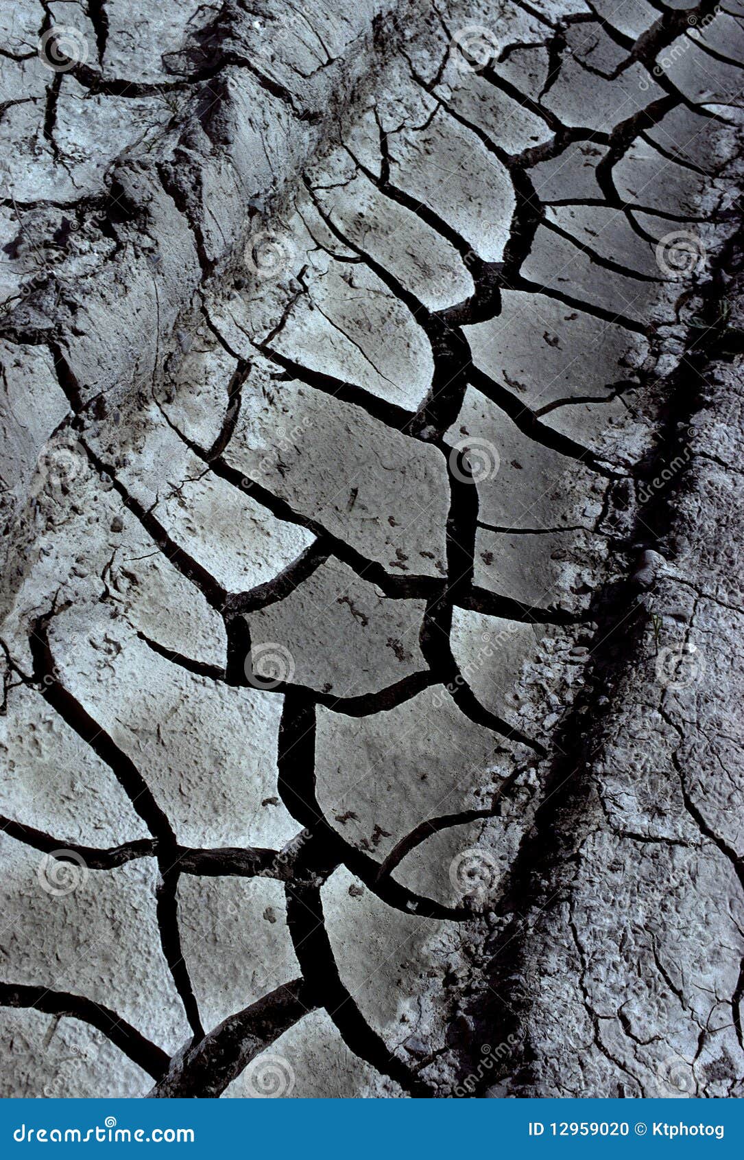 Dry Mud Tracks stock photo. Image of track, crack, road - 12959020