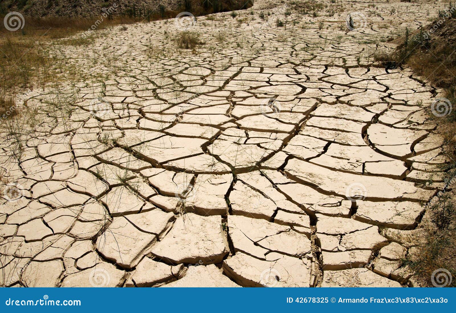 Dry mudcrack pond stock image. Image of crack, sprouts - 42678325