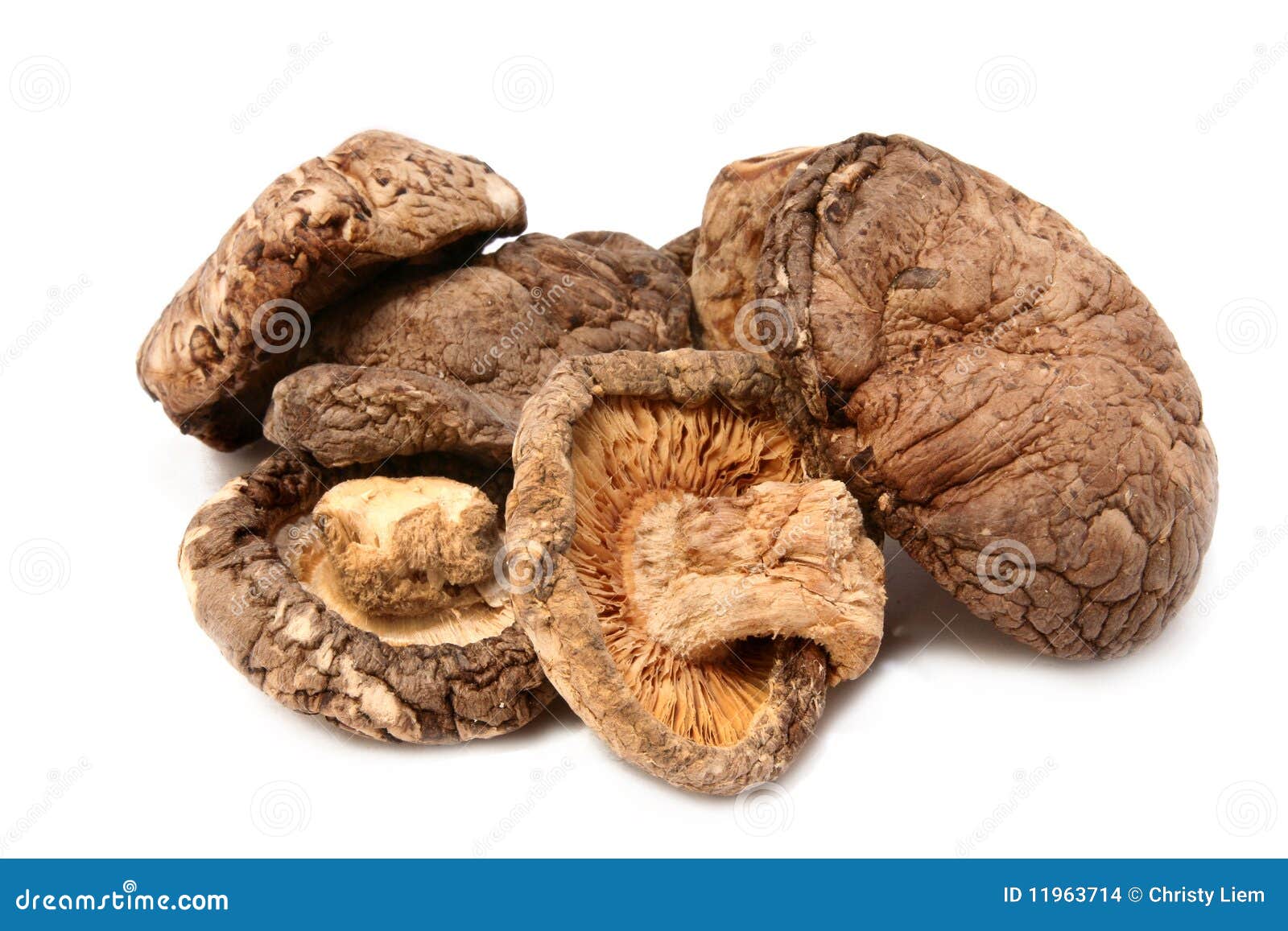Dry mushroom stock photo. Image of cook, soup, good, farm - 11963714