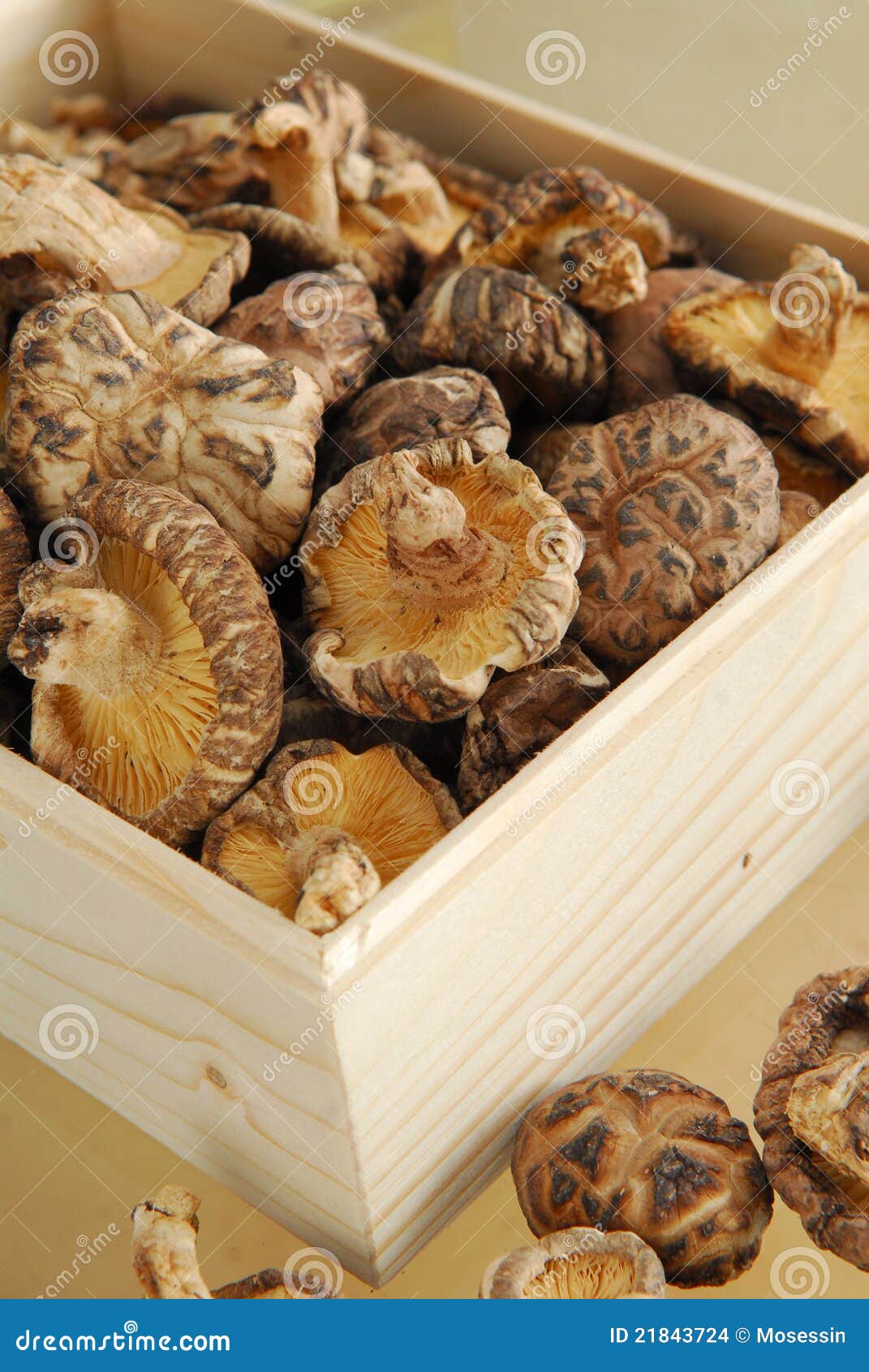 Dry mushroom stock photo. Image of core, mushroom, wood - 21843724