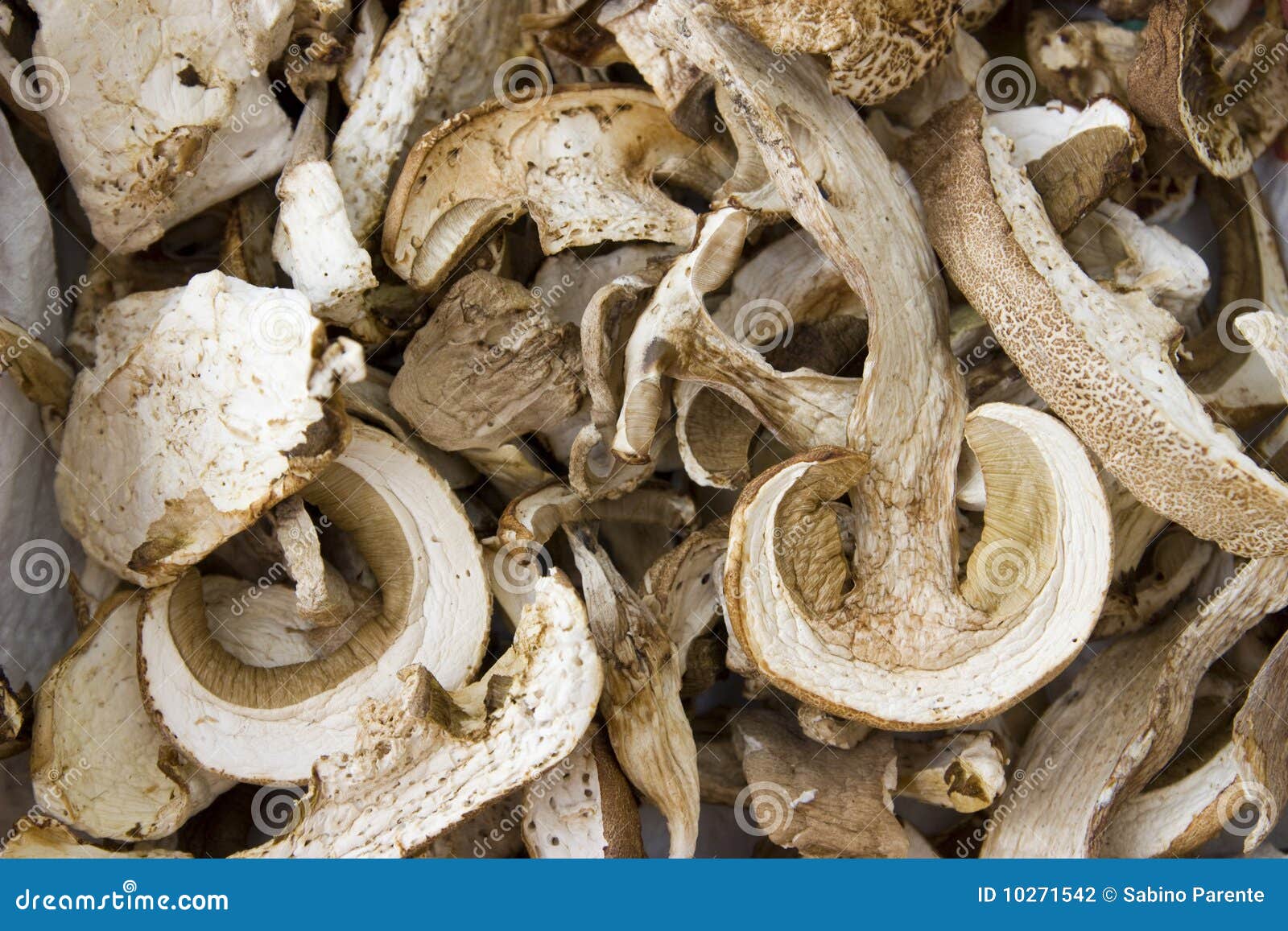 Dry mushrooms stock photo. Image of ingredient, cooking - 10271542