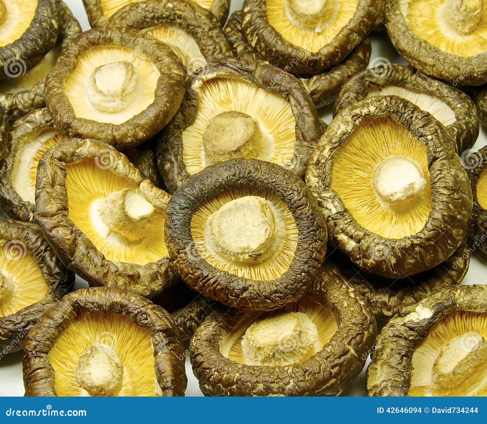 Dry mushrooms stock photo. Image of healthy, edible, cooking - 42646094