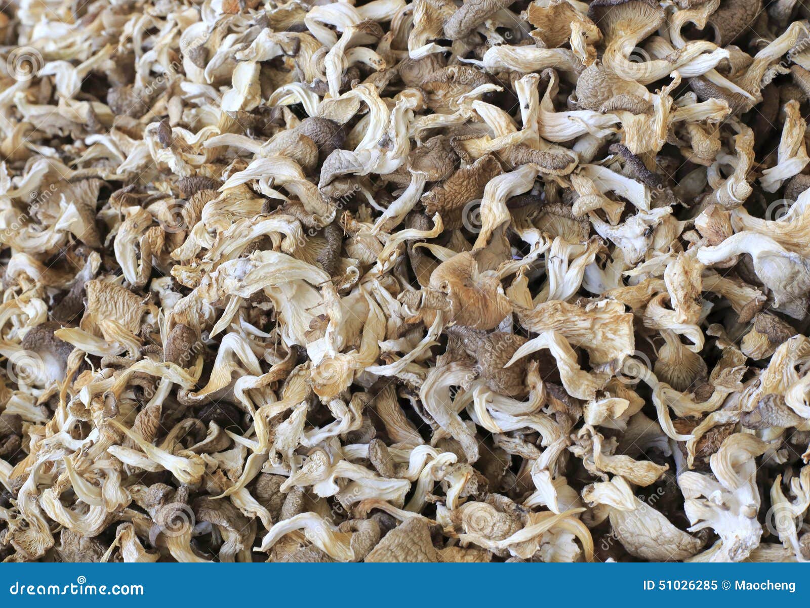Dry mushrooms stock image. Image of meal, kitchen, ingredient - 51026285