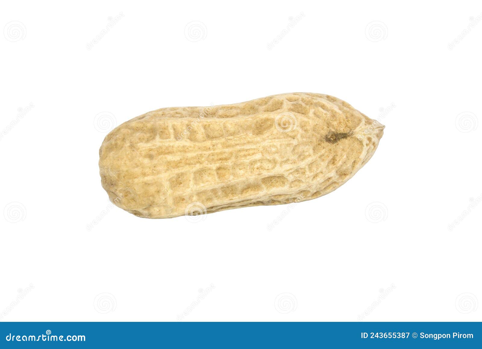 Dry nut with peel isolated stock image. Image of organic - 243655387