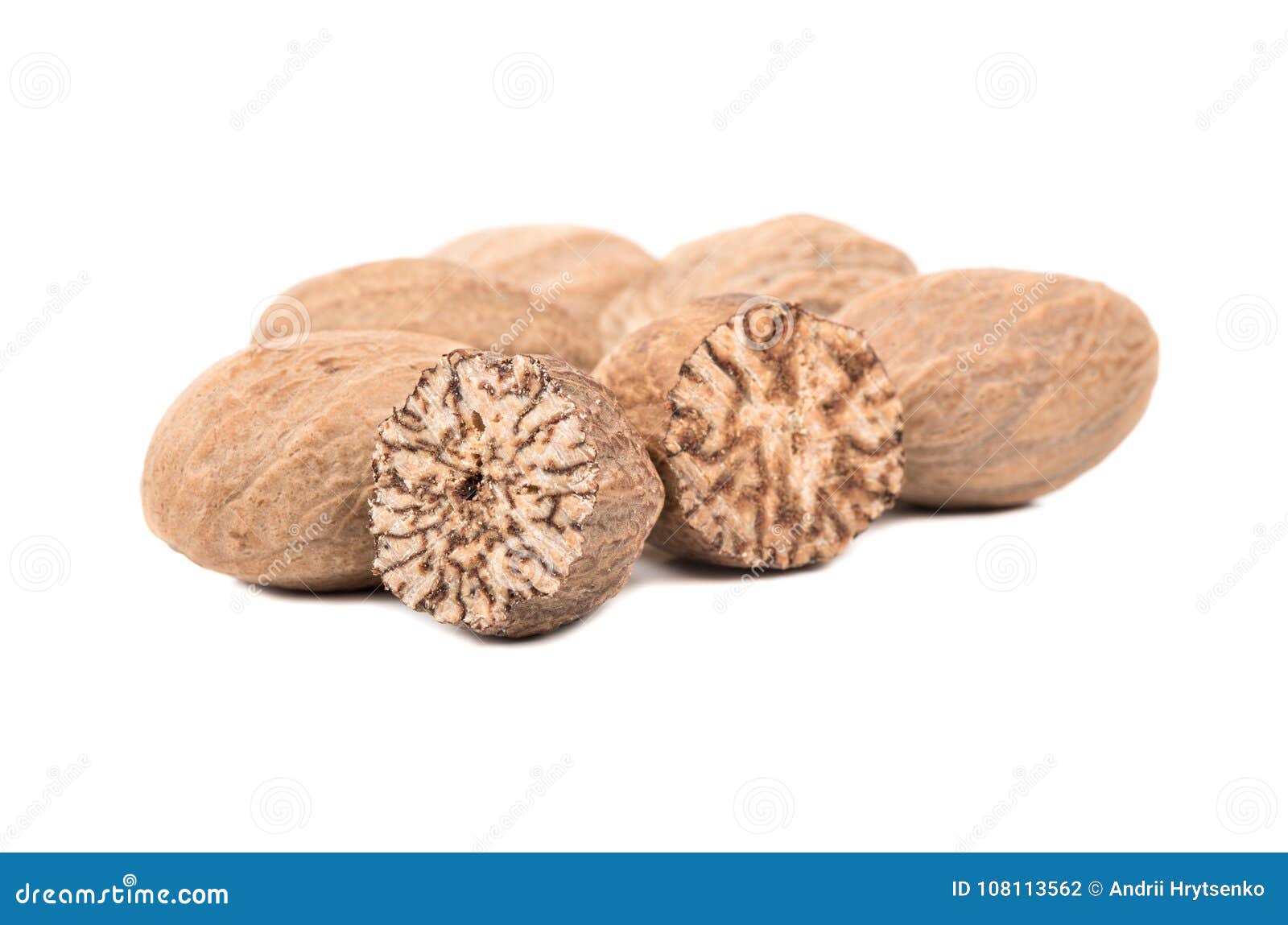 Dry nutmeg stock photo. Image of powder, brown, mace - 108113562