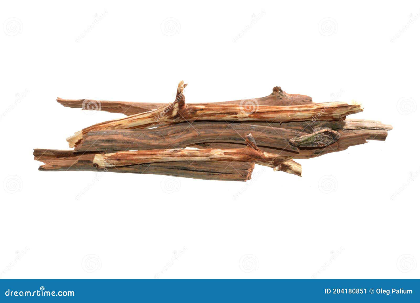 Dry Oak Branch Isolated on White Background Stock Image - Image of ...