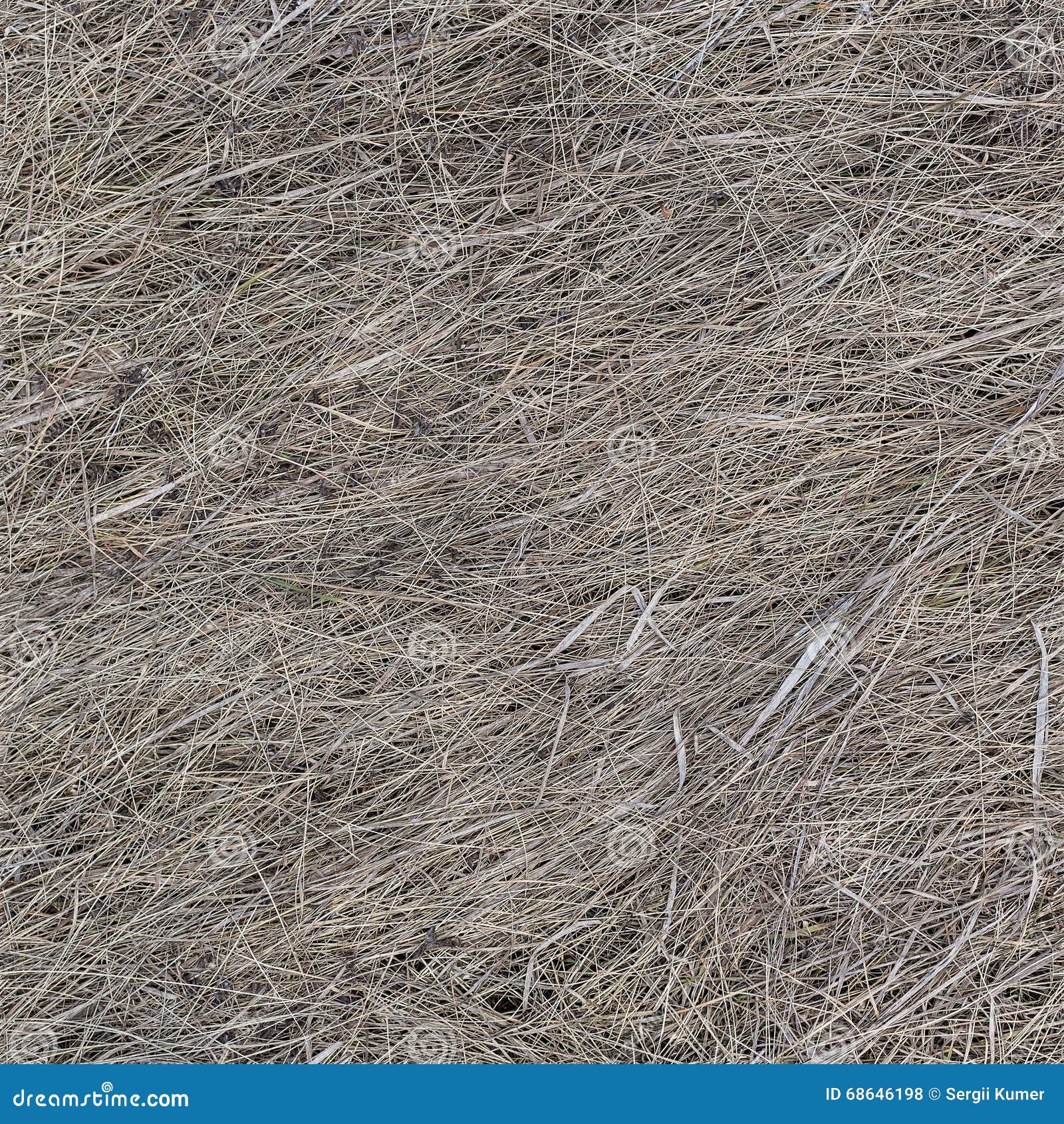 Dry Old Grass Texture Seamless Background Stock Photo - Image of farm ...