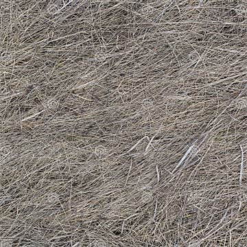 Dry Old Grass Texture Seamless Background Stock Photo - Image of farm ...
