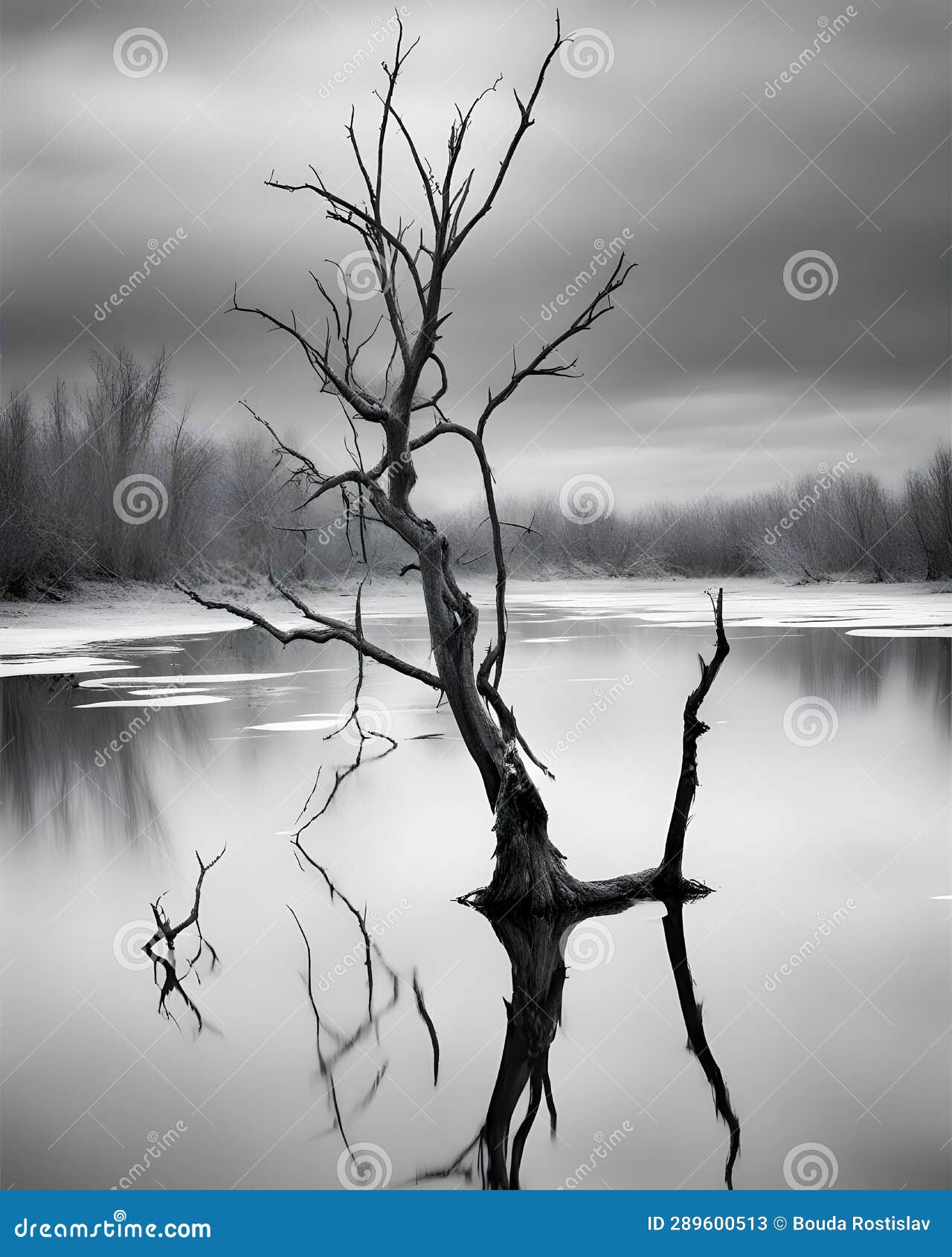 Dry Old Tree in the Middle of Water Stock Illustration - Illustration ...
