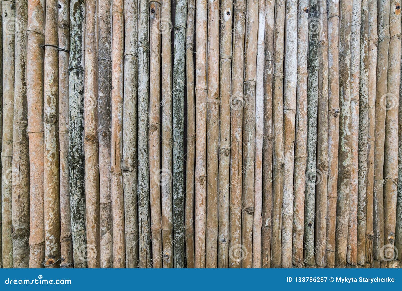 Dry Old Vintage Bamboo Decorative Fence Wall Background Stock Image