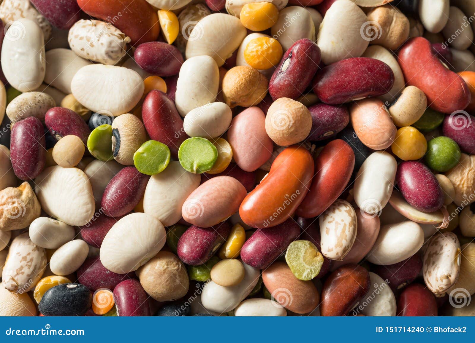 Dry Organic Assorted Bean Mixture Stock Photo - Image of bowl, grain ...