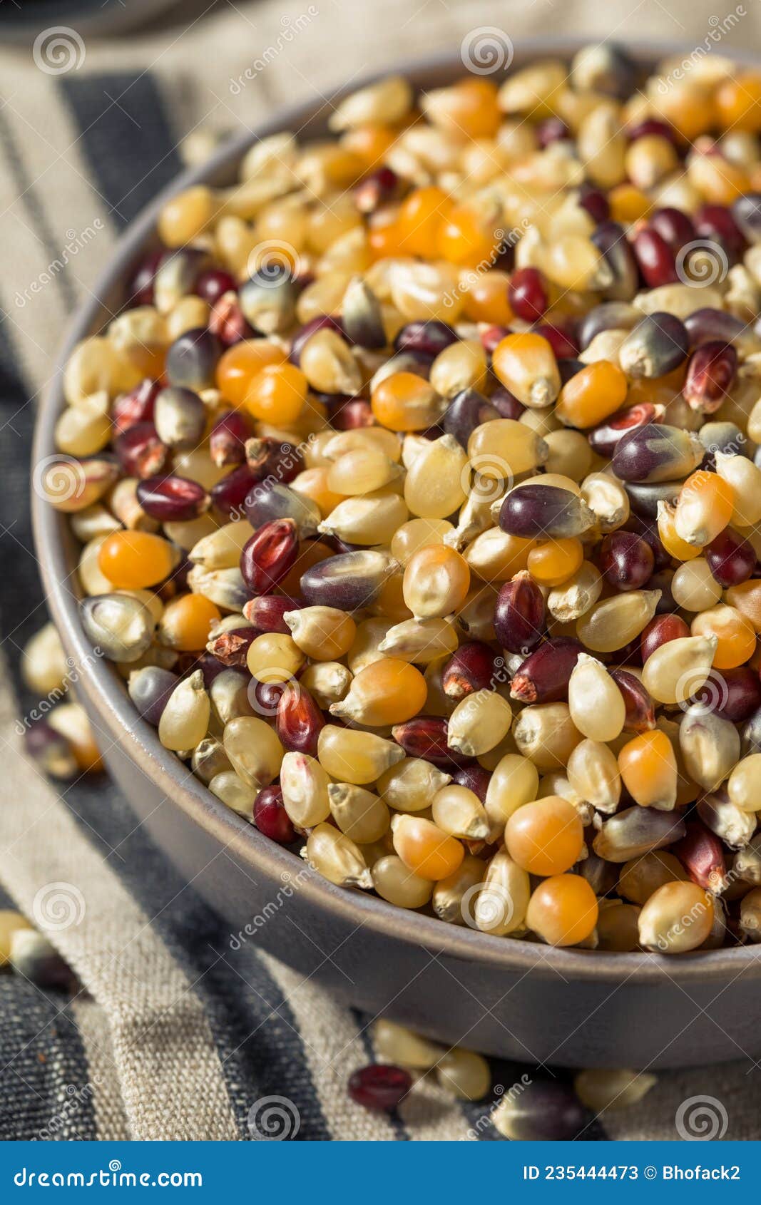 Dry Organic Assorted Rainbow Popcorn Stock Image - Image of vegetarian ...