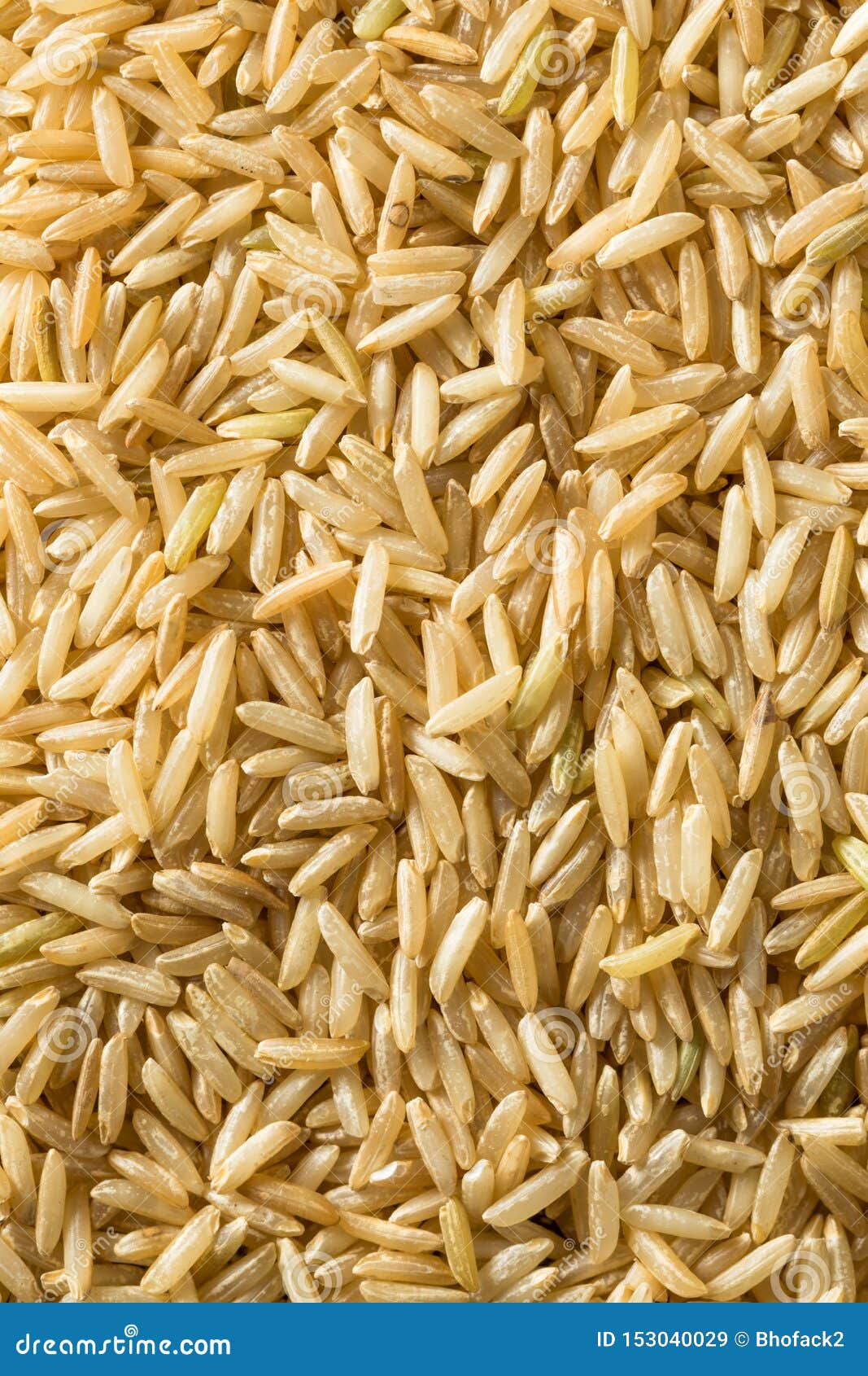 Dry Organic Indian Basmati Rice Stock Image - Image of healthy, brown ...