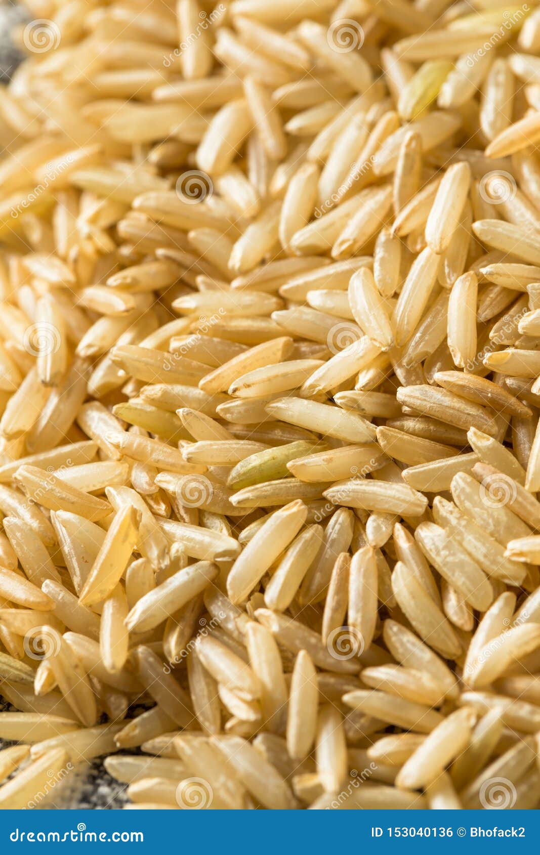 Dry Organic Indian Basmati Rice Stock Photo - Image of heap, indian ...