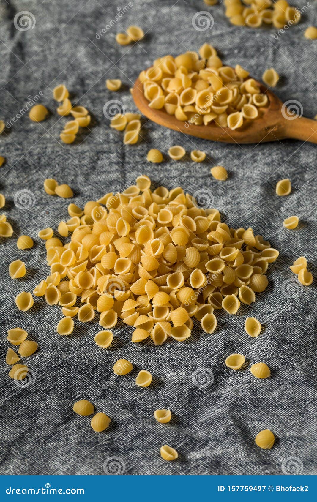 Dry Organic Macaroni Shells Stock Image - Image of meal, macaroni ...