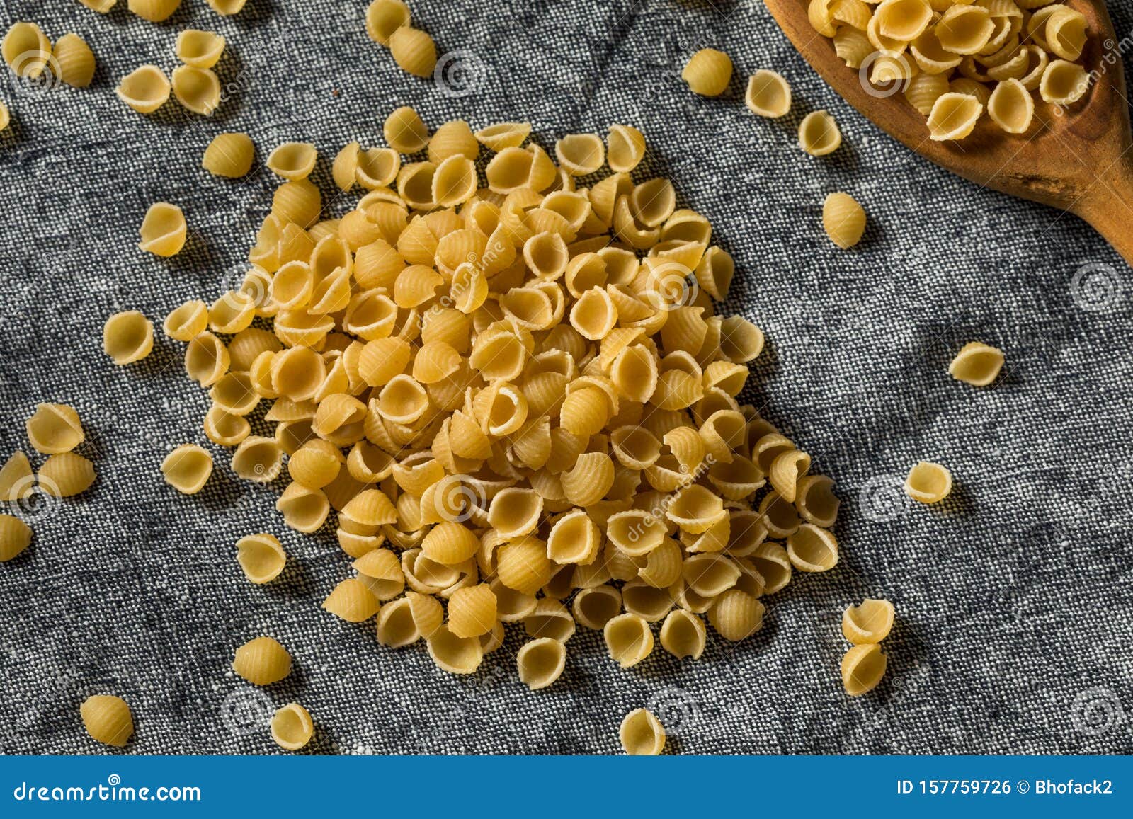 Dry Organic Macaroni Shells Stock Photo - Image of uncooked, ingredient ...