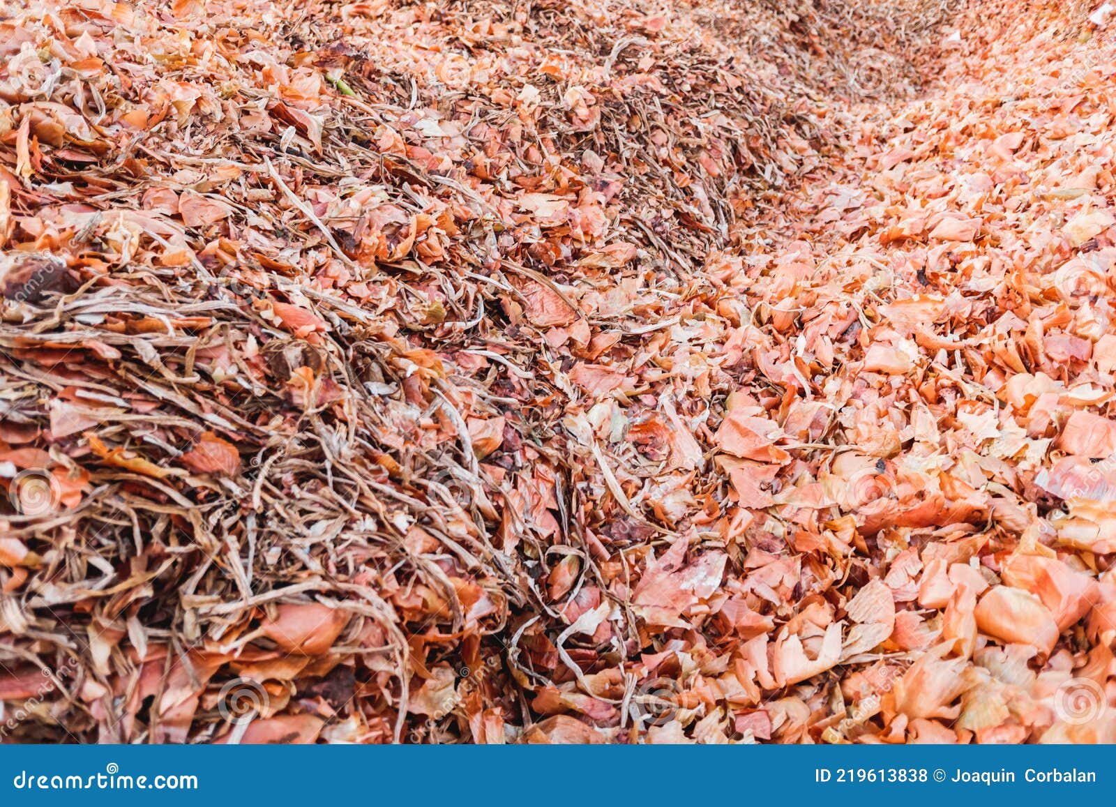 Dry Organic Remains of Vegetable Peelings Stock Photo - Image of peel ...