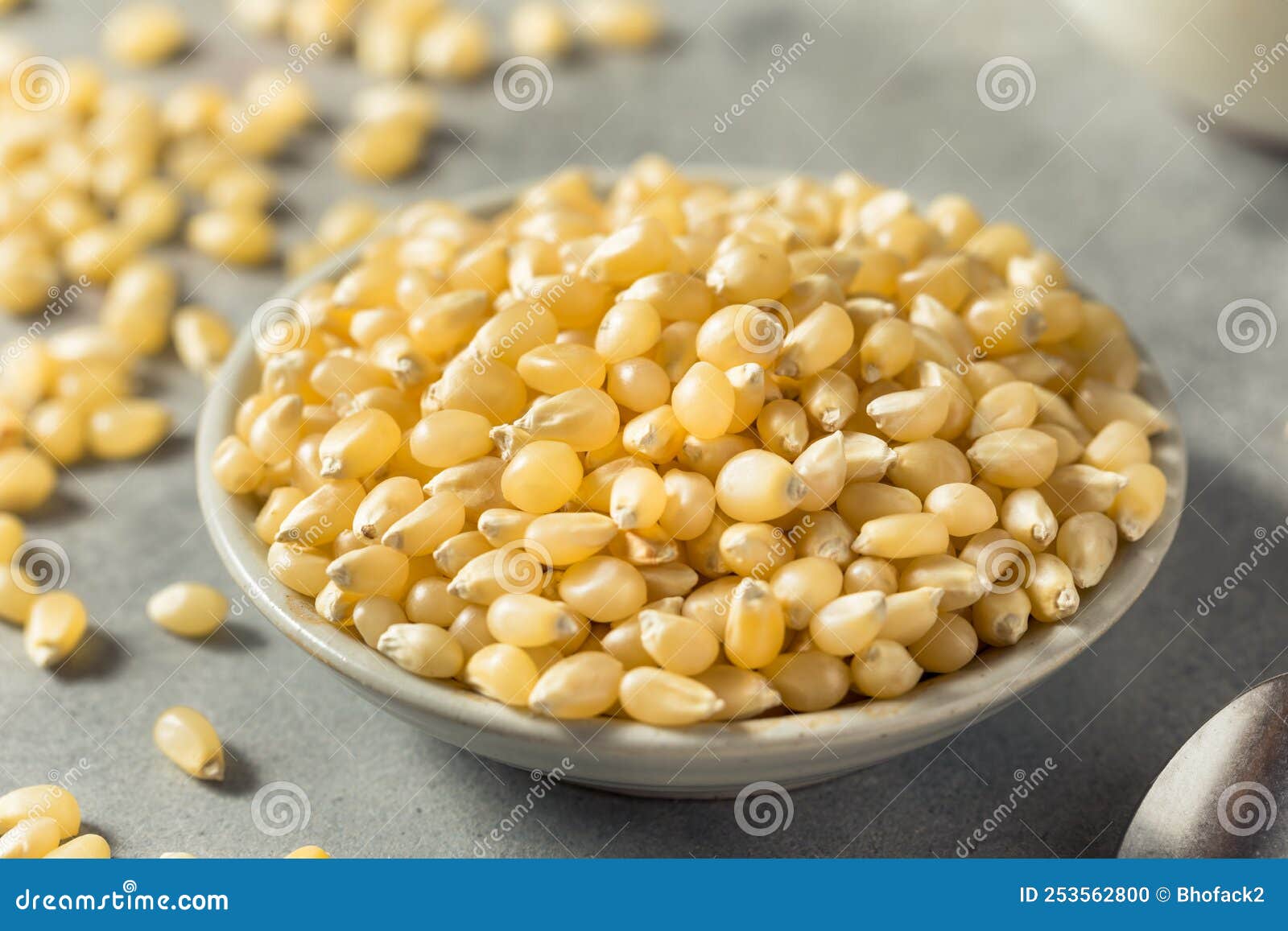 Dry Organic White Popcorn Kernels Stock Photo - Image of nutrition ...
