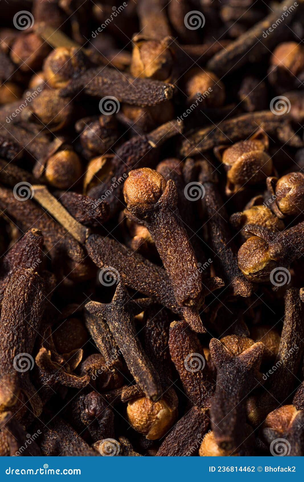 Dry Organic Whole Cloves stock photo. Image of herb - 236814462