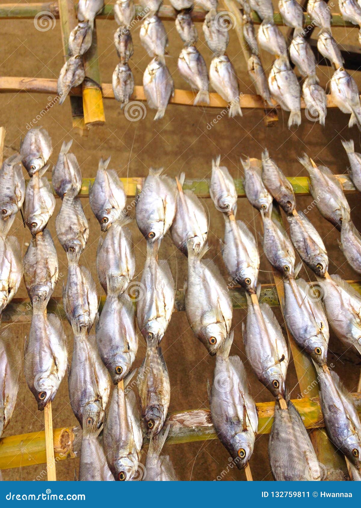 Dry Out Fish Stab in Bamboo Stick Stock Image - Image of wall, daylight ...