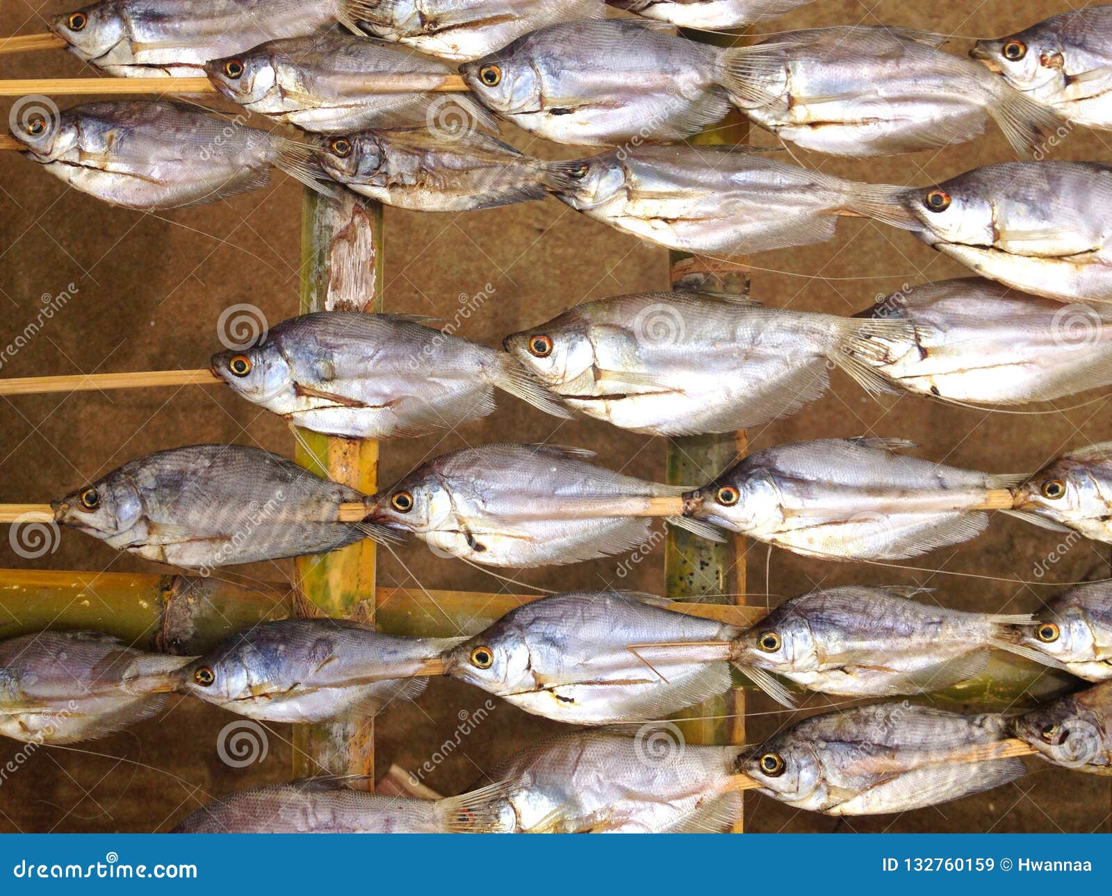 Dry Out Fish Stab in Bamboo Stick Stock Image - Image of daylight ...