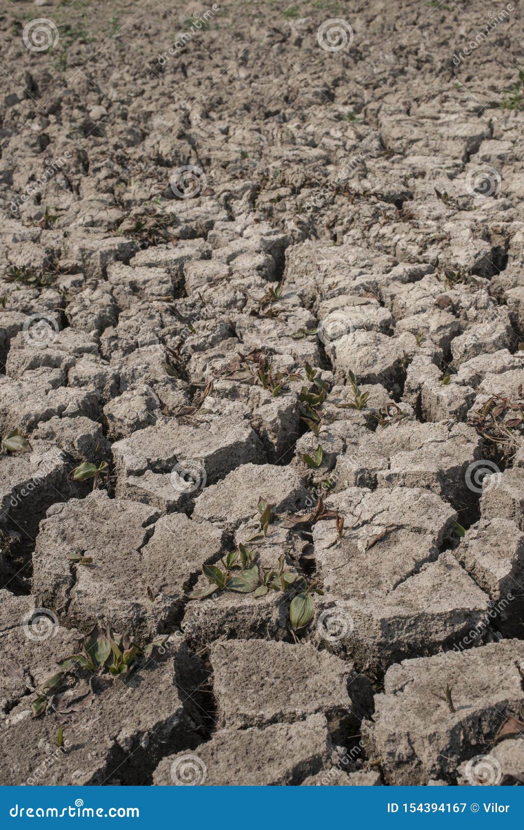 Dry out soil stock image. Image of cracked, environment - 154394167