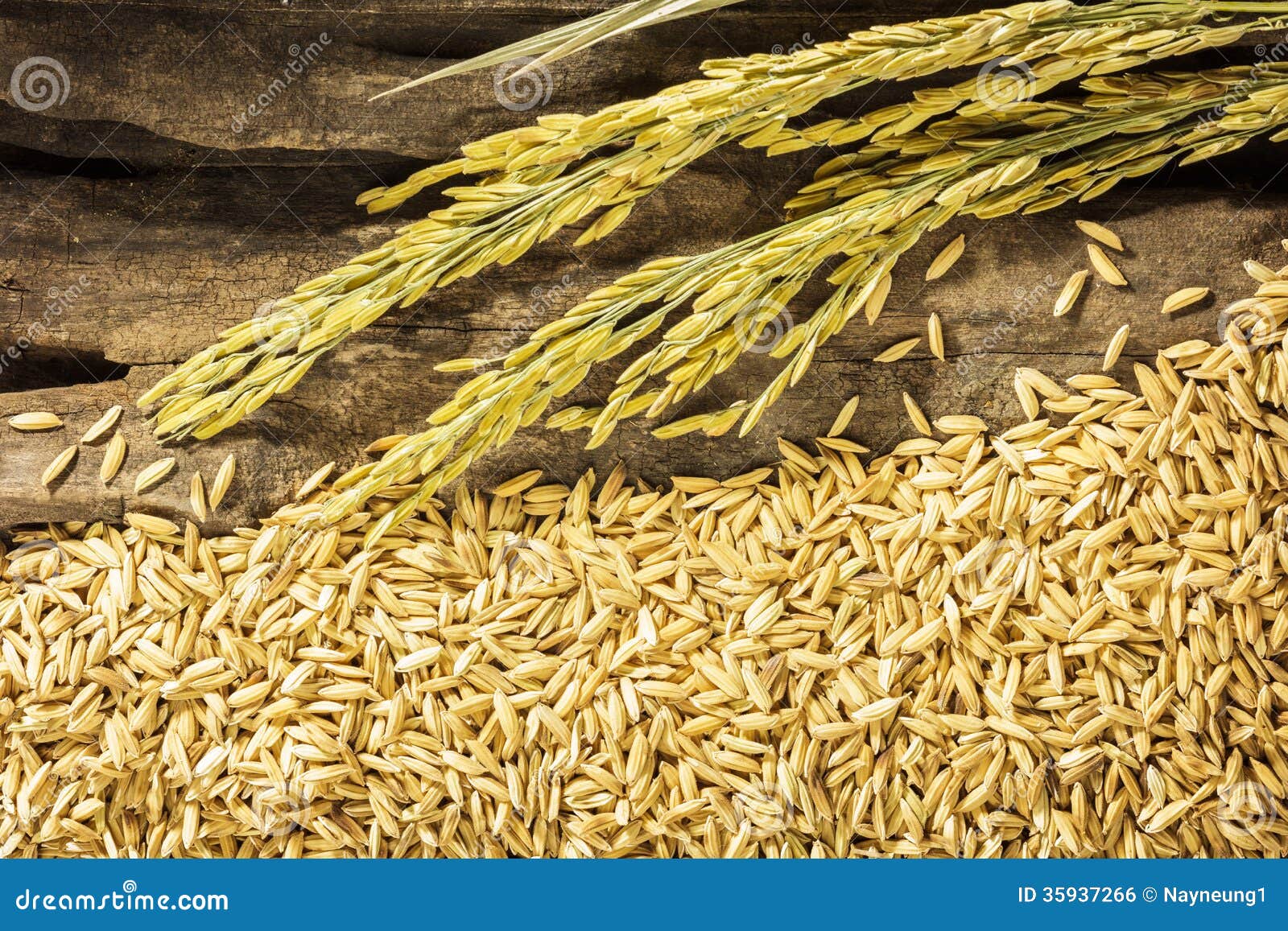 Dry Paddy and Spike on Grunge Wooden . Stock Photo - Image of farmland ...