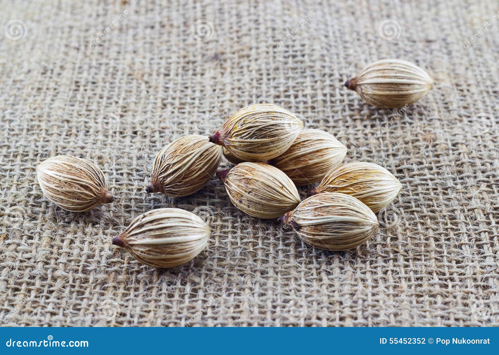 Dry Palm Seeds on the Sack Background Stock Photo - Image of fruit ...