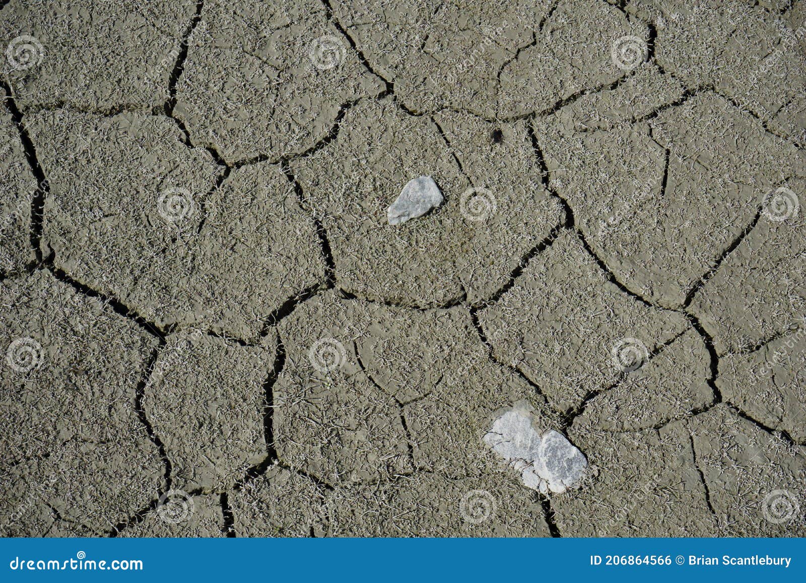 Dry Parched and Cracked in Typical Patterns Land of Riverbed in Drought ...