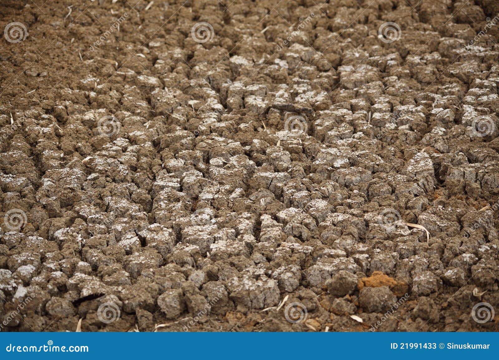 Dry parched land stock image. Image of desert, land, travel - 21991433