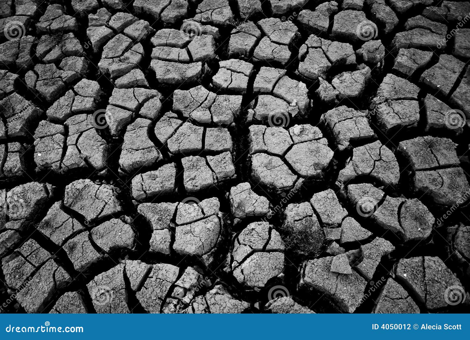 Dry, Parched Land stock photo. Image of cracked, white - 4050012