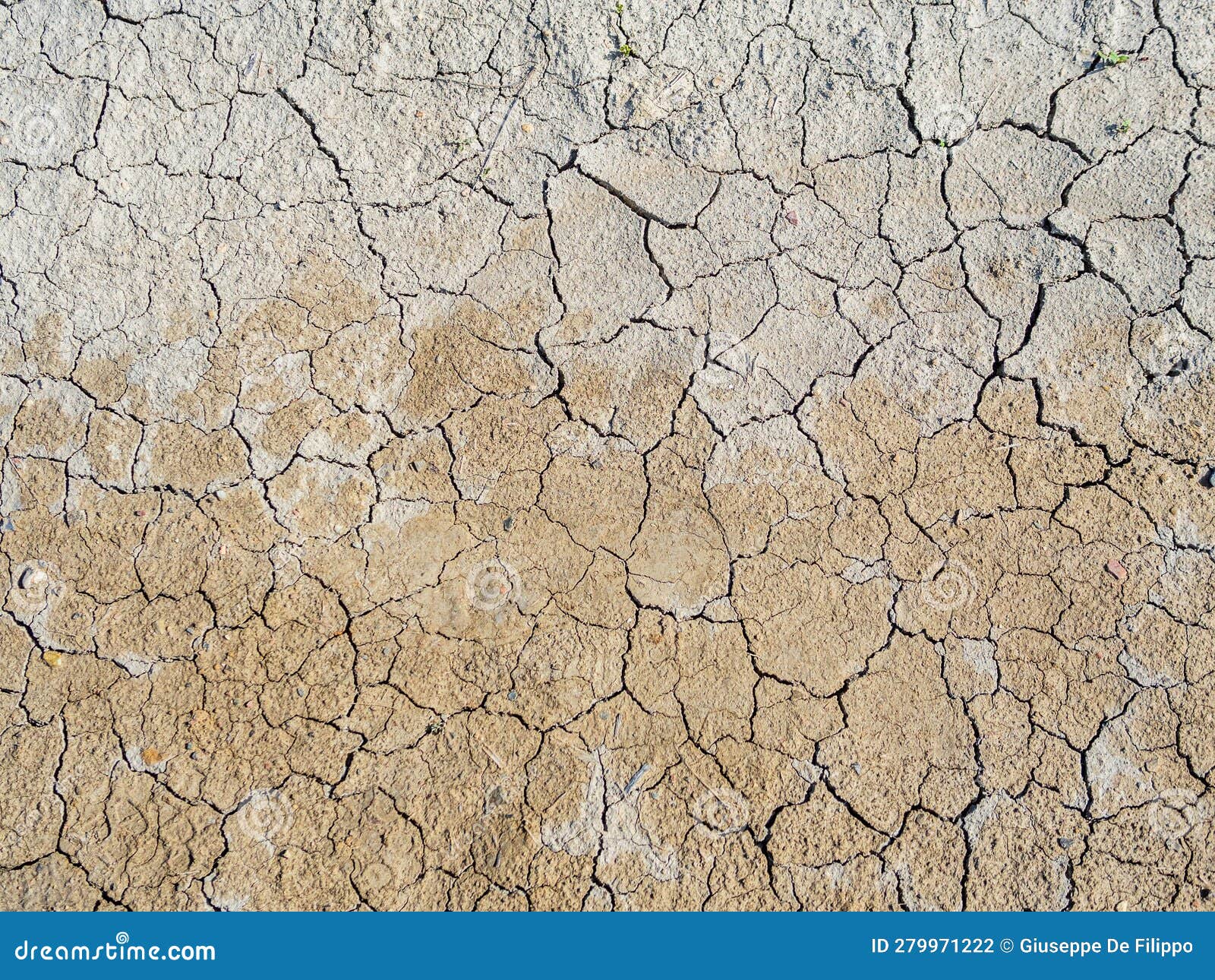 Dry Patch of Land with a Pattern Stock Photo - Image of natural, brown ...